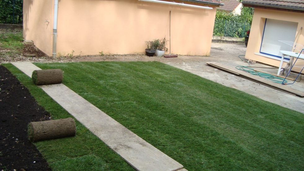 Gazon en rouleau à Dijon, Côte d'Or, Bourgogne